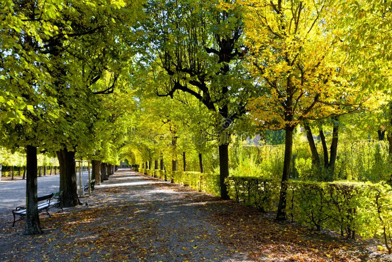 Path on the autumn park stock photo. Image of fall, morning - 29749924