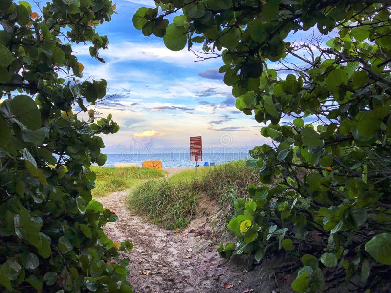 Path through the Trees at the Beach Stock Image - Image of arch ...