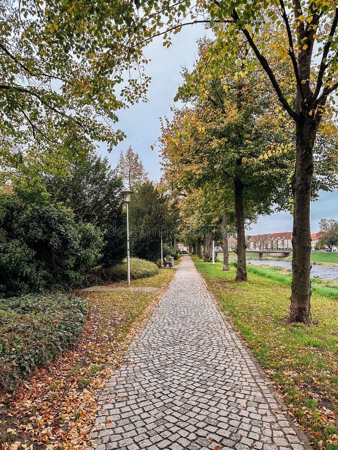 Path with Trees and a Bench is Shown Stock Image - Image of park ...