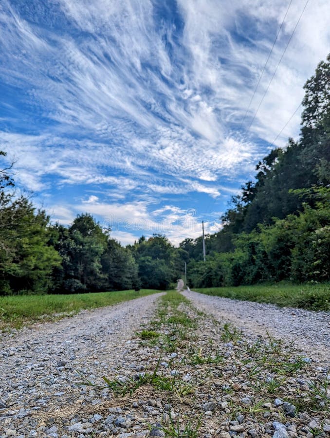 Path with Trees and Blue Sky and Clouds Stock Photo - Image of blue ...