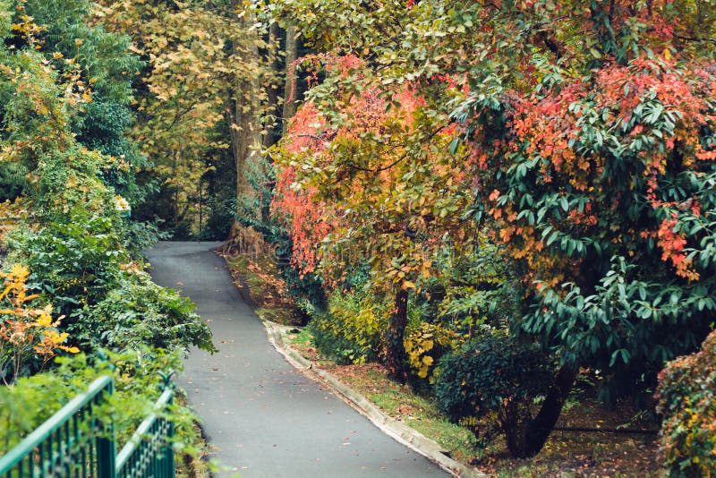 Path between Trees in City Park Stock Image - Image of walking, forest ...