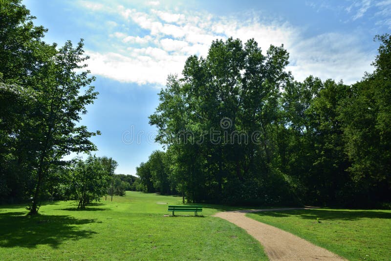 A Path among Trees on the Edge of a Slope on a Hot Summer Day Stock ...