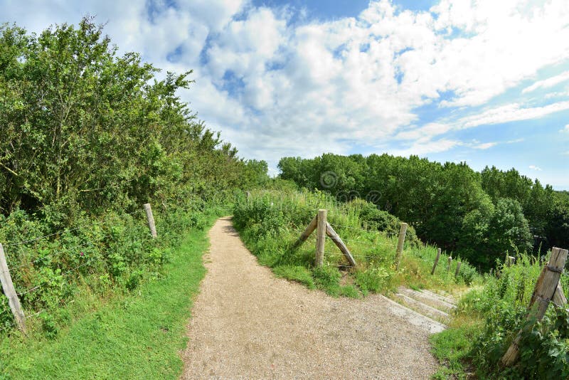 A Path among Trees on the Edge of a Slope on a Hot Summer Day Stock ...