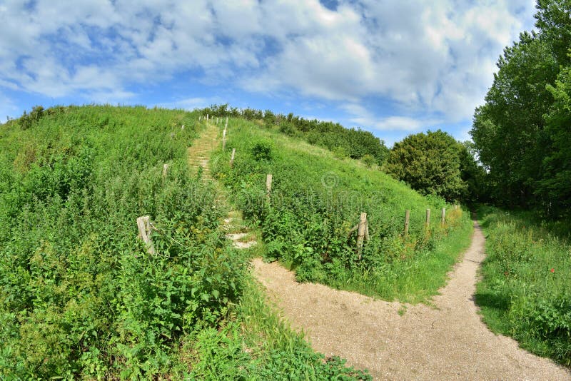 A Path among Trees on the Edge of a Slope on a Hot Summer Day Stock ...