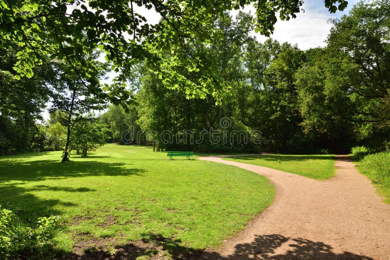 A Path among Trees on the Edge of a Slope on a Hot Summer Day Stock ...