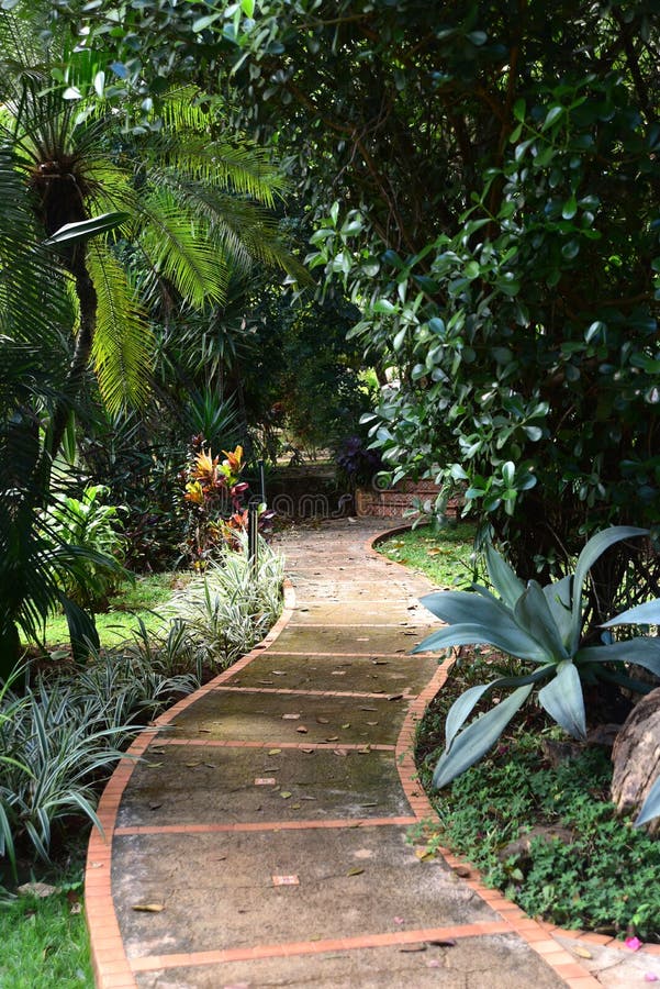Path between Trees and Gardens, Sidewalk with Nature Around Stock Photo ...