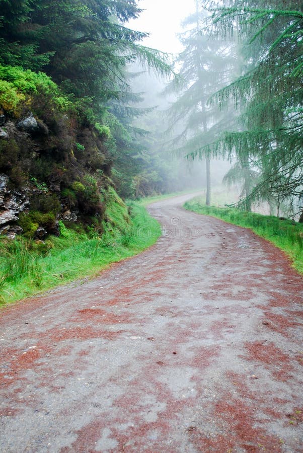 A Path between Trees in Glendalough Ireland Stock Photo - Image of ...