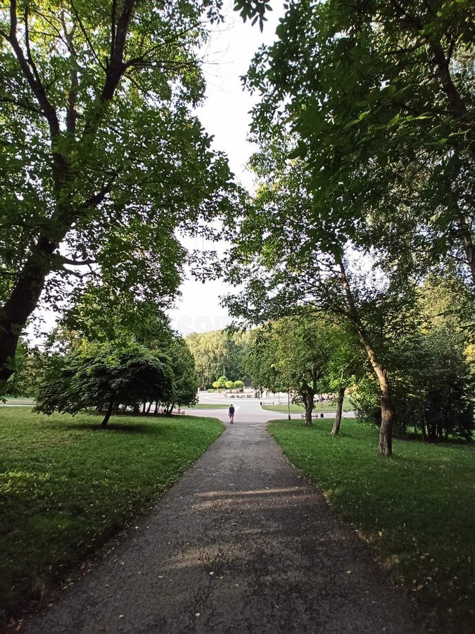 A Path with Trees, Nature, a Walk through the Park Stock Image - Image ...