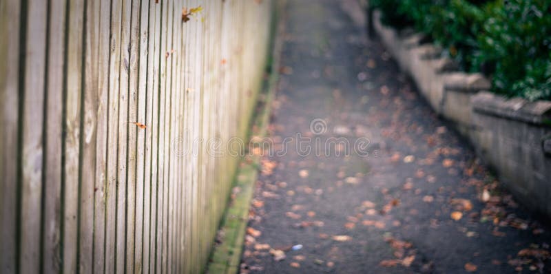 Path with Trees on One Side and a Wooden Fence on the Other Side Stock ...