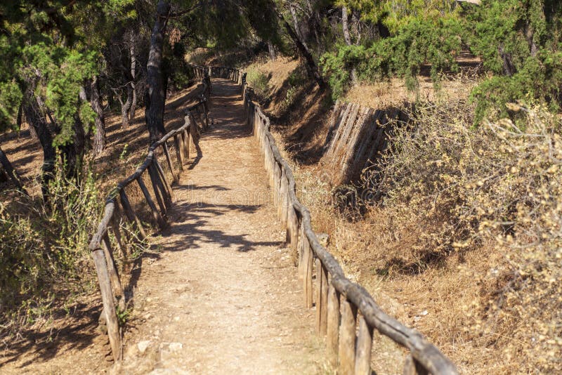 Path among the Trees in a Park Stock Photo - Image of natural, shadow ...