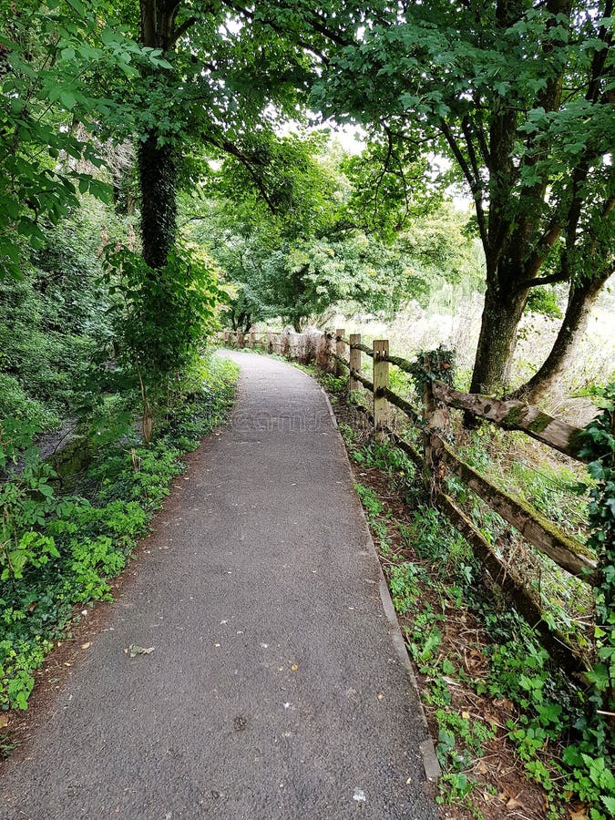 Path between trees stock photo. Image of walking, rural - 152533398