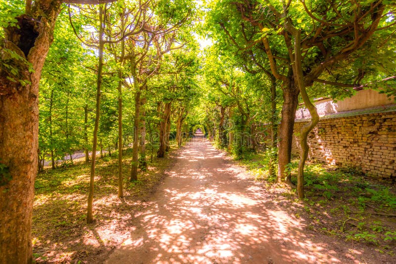Path through the Trees in Public Park. Romantic Landscape Nature Scene ...