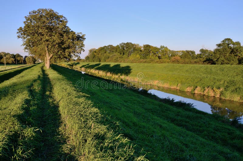 Path and Trees on River Bank Stock Image - Image of travel, europe ...