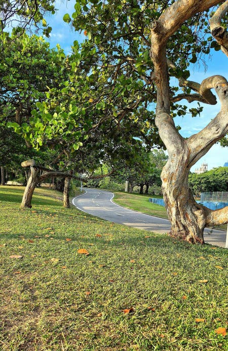 Grass's Shaped Path Stock Photos - Free & Royalty-Free Stock Photos ...