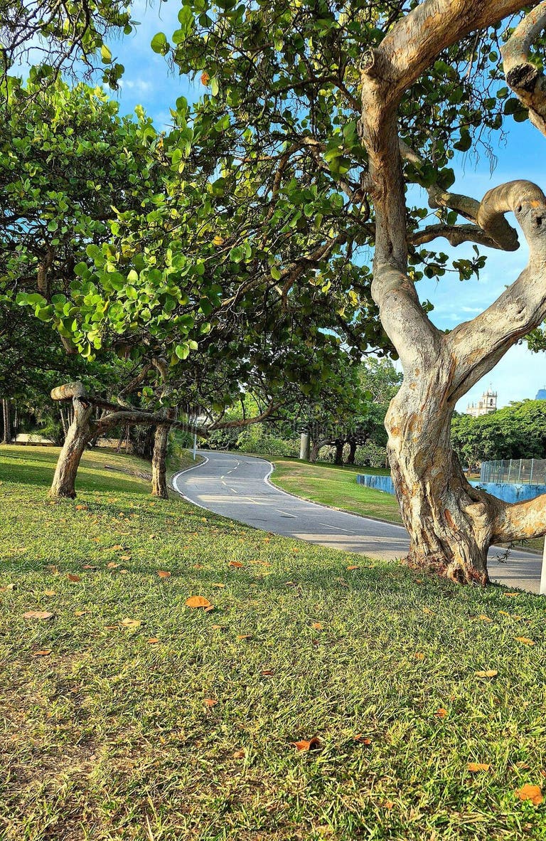 Grass's Shaped Path Stock Photos - Free & Royalty-Free Stock Photos ...