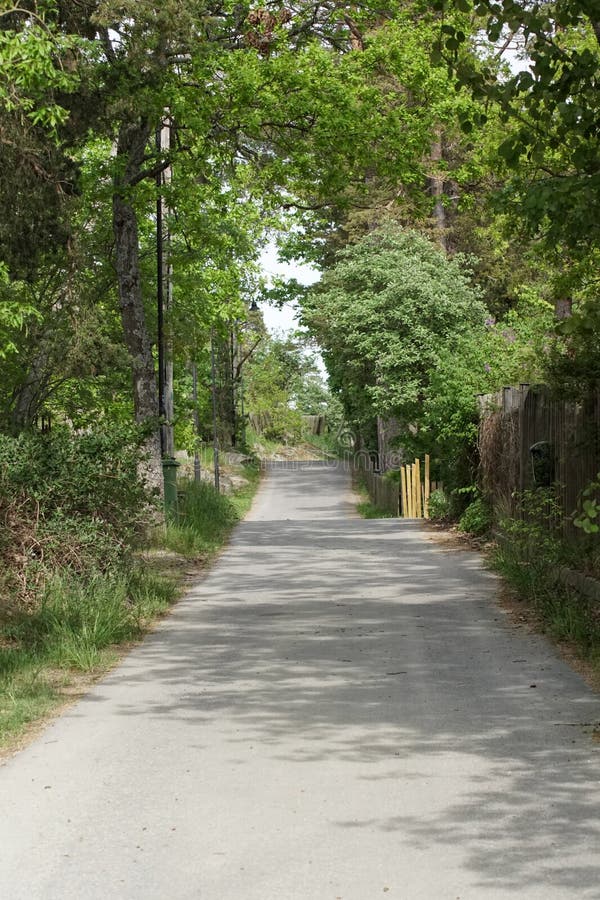A Path with Trees on the Side of a Road Stock Photo - Image of woodland ...