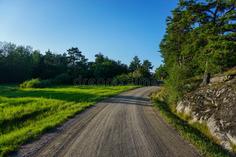 A Path with Trees on the Side of a Road Stock Photo - Image of gravel ...