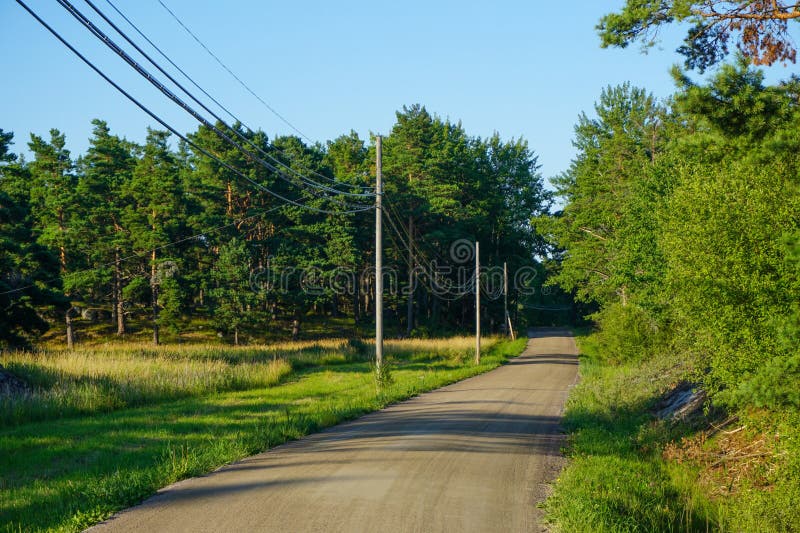 A Path with Trees on the Side of a Road Stock Photo - Image of green ...