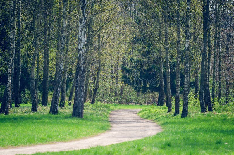 Path between Trees in Spring City Park Stock Image - Image of bench ...