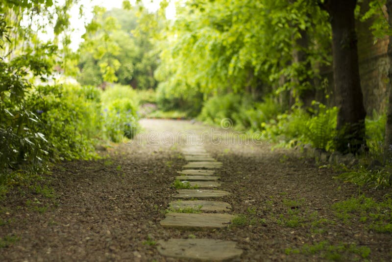 Path through trees stock image. Image of scotland, green - 104256213