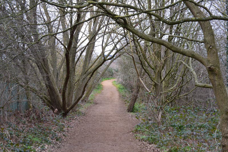 Tortuous Path On Skellig Island Stock Photo - Image of curvy, nature ...