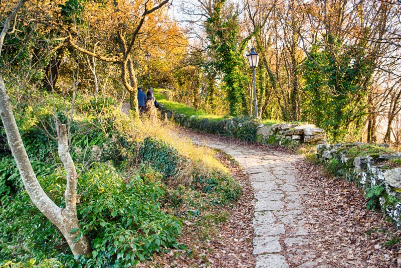 Path through the trees stock image. Image of leaves, nature - 64914741