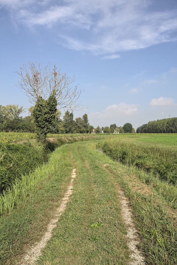 Path between Trenches with Water and Fields on a Sunny Day in the ...