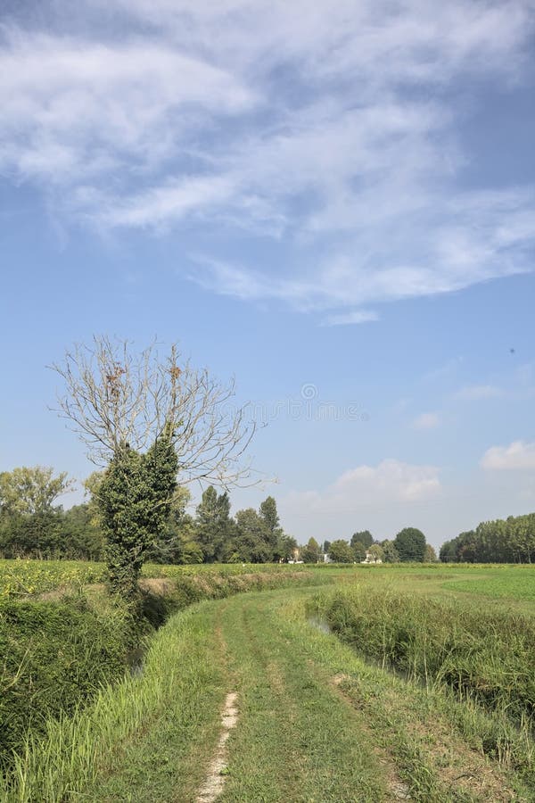 Path between Trenches with Water and Fields on a Sunny Day in the ...