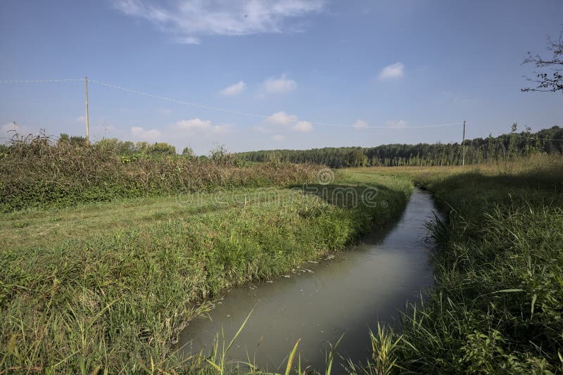 Path between Trenches with Water and Fields on a Sunny Day in the ...