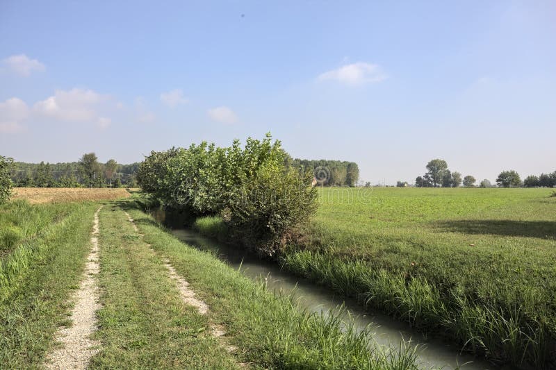 Path between Trenches with Water and a Row of Trees Next To Fields in ...