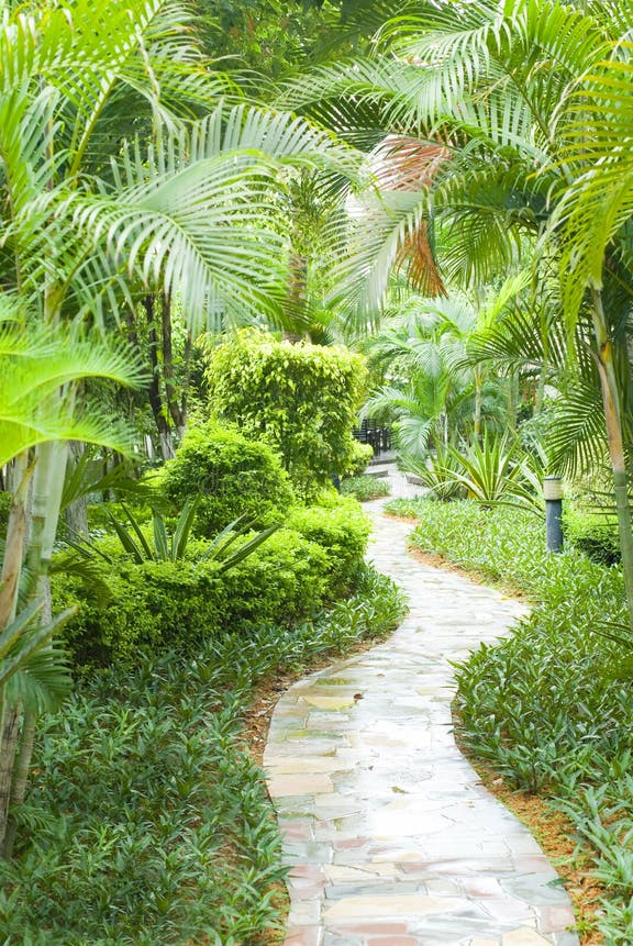 Path in tropical garden stock image. Image of green, leaves - 11563695