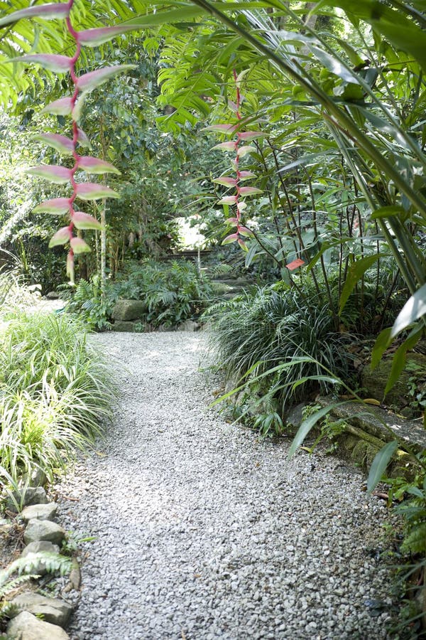 Tropical Spice Garden stock image. Image of path, secluded - 6588943