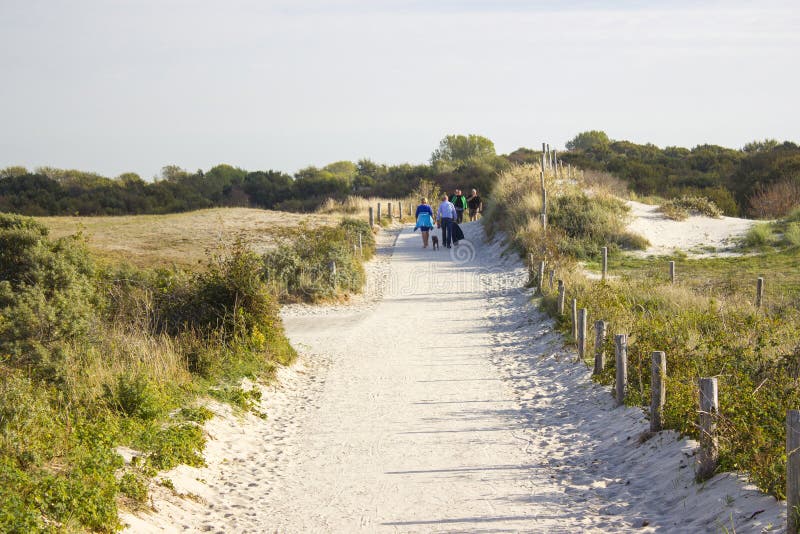 Path Trough the Dunes, Renesse, the Netherlands Editorial Photography ...