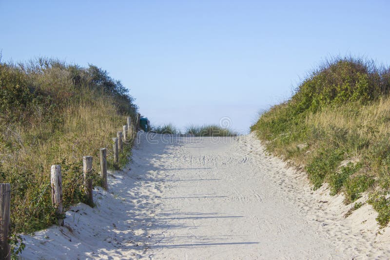 Path Trough the Dunes, Renesse, the Netherlands Stock Photo - Image of ...