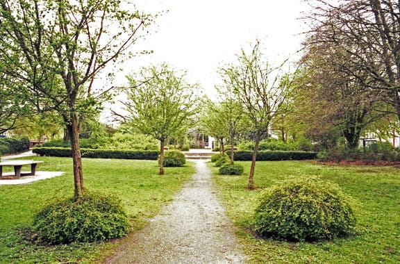Path Trough a Park between Meadows Stock Image - Image of ...