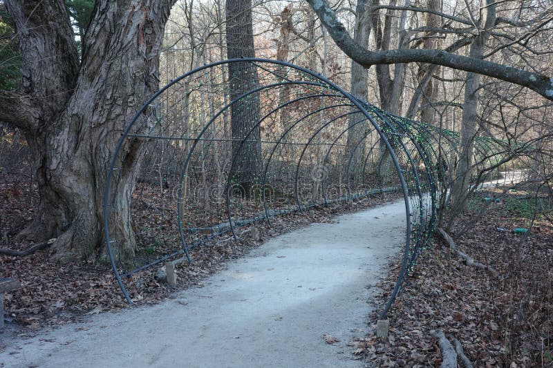 Path through Creative Landscaping and Lighting Stock Image - Image of ...