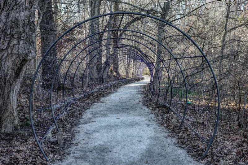 Path through Creative Landscaping and Lighting Stock Photo - Image of ...