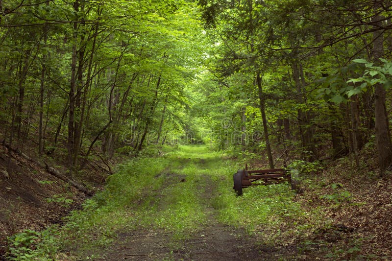 3,152 Pennsylvania Mountains Stock Photos - Free & Royalty-Free Stock ...