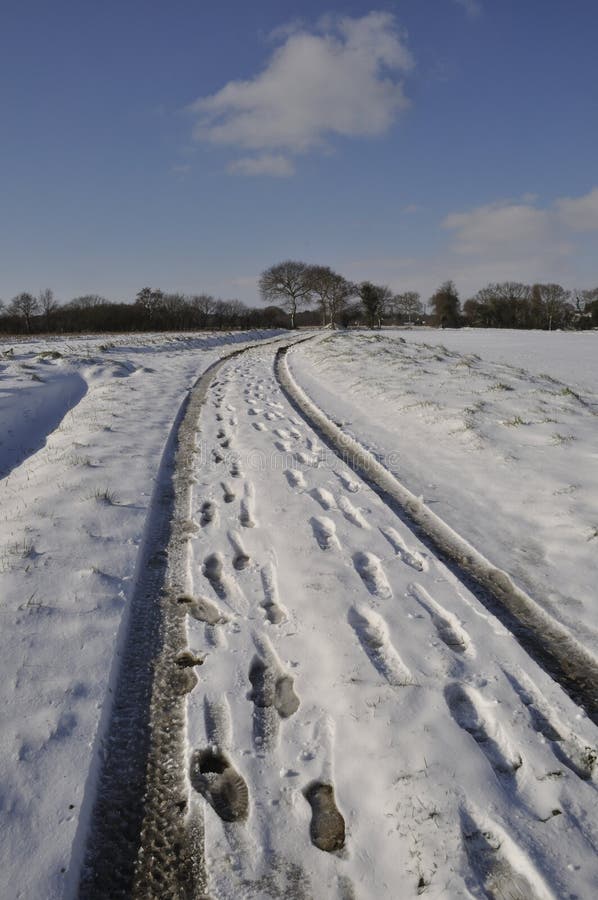 Path Under the Snow in Brittany Stock Photo - Image of season, nature ...