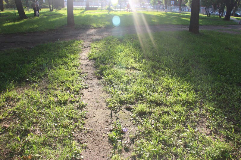 A Path Under Sun Rays in an Open Green Field. Way Concept Stock Photo ...