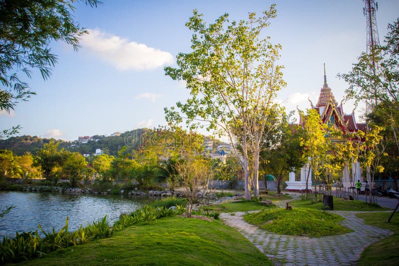 Path Under the Trees in Park Stock Photo - Image of nature, destination ...