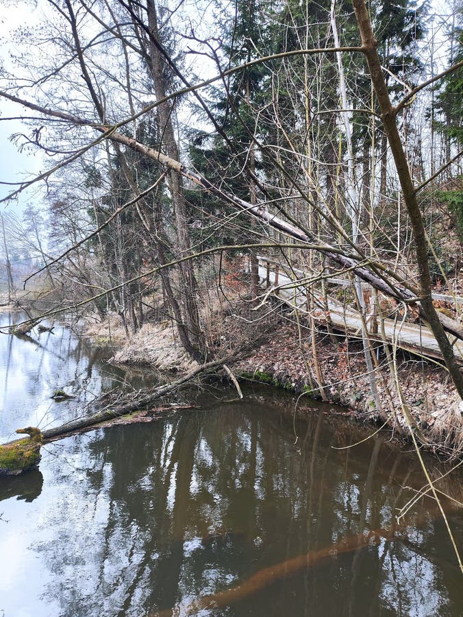 Path Under the Water in the Czech Highlands Stock Image - Image of ...