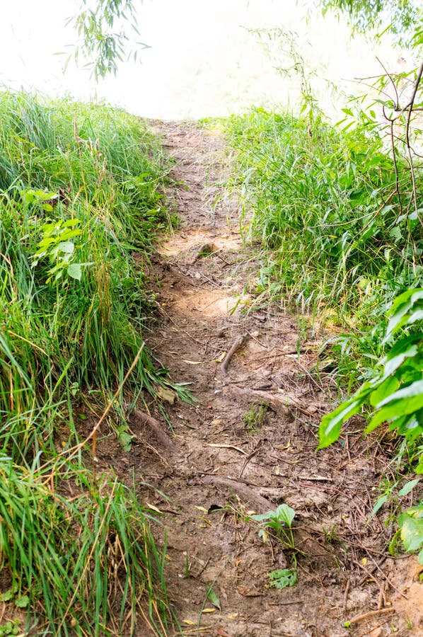 Path Up the Hill in the Park. Background, Nature. Stock Image - Image ...