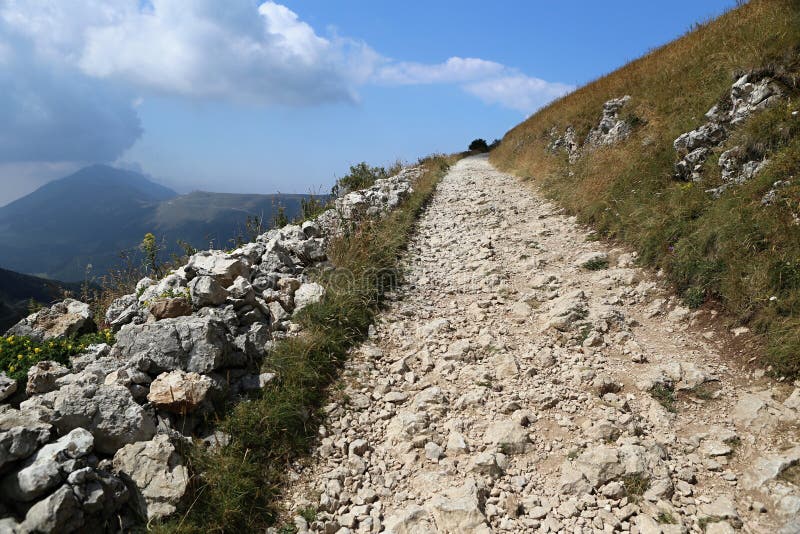 Steep Path with Stone Steps in the Woods Stock Image - Image of ...