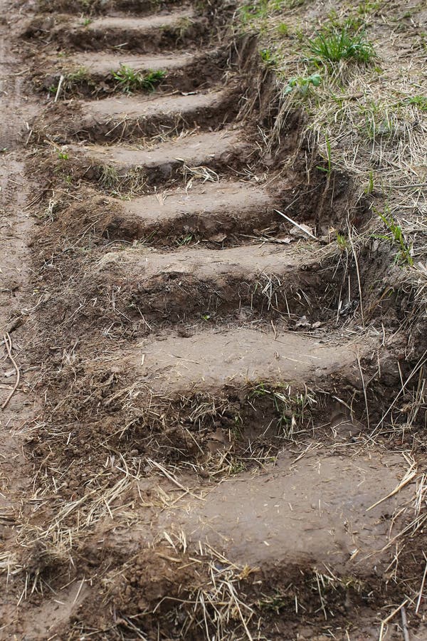 The Path Up the Mountain, Earthen Steps Stock Photo - Image of stairway ...