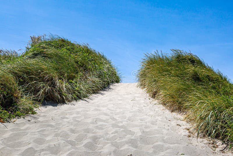 Pathway through Sand Dunes stock image. Image of marram - 121817133