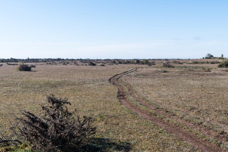 Path Used by Cattle in a Wide Open Landscape Stock Photo - Image of ...