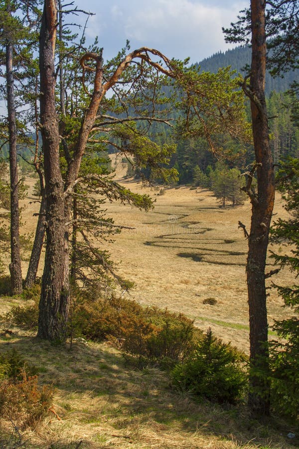 Path through Valley at Rhodope Mountain Stock Photo - Image of rhodope ...