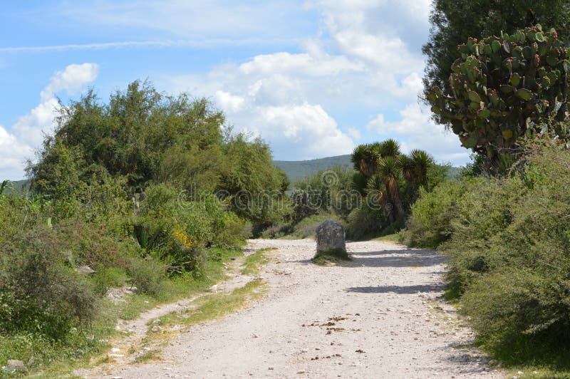 Path, Vegetation, Nature Reserve, Road Picture. Image: 133463564