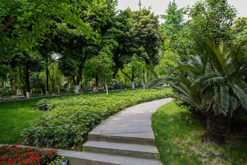 Path in verdant spring stock image. Image of chengdu - 40694831